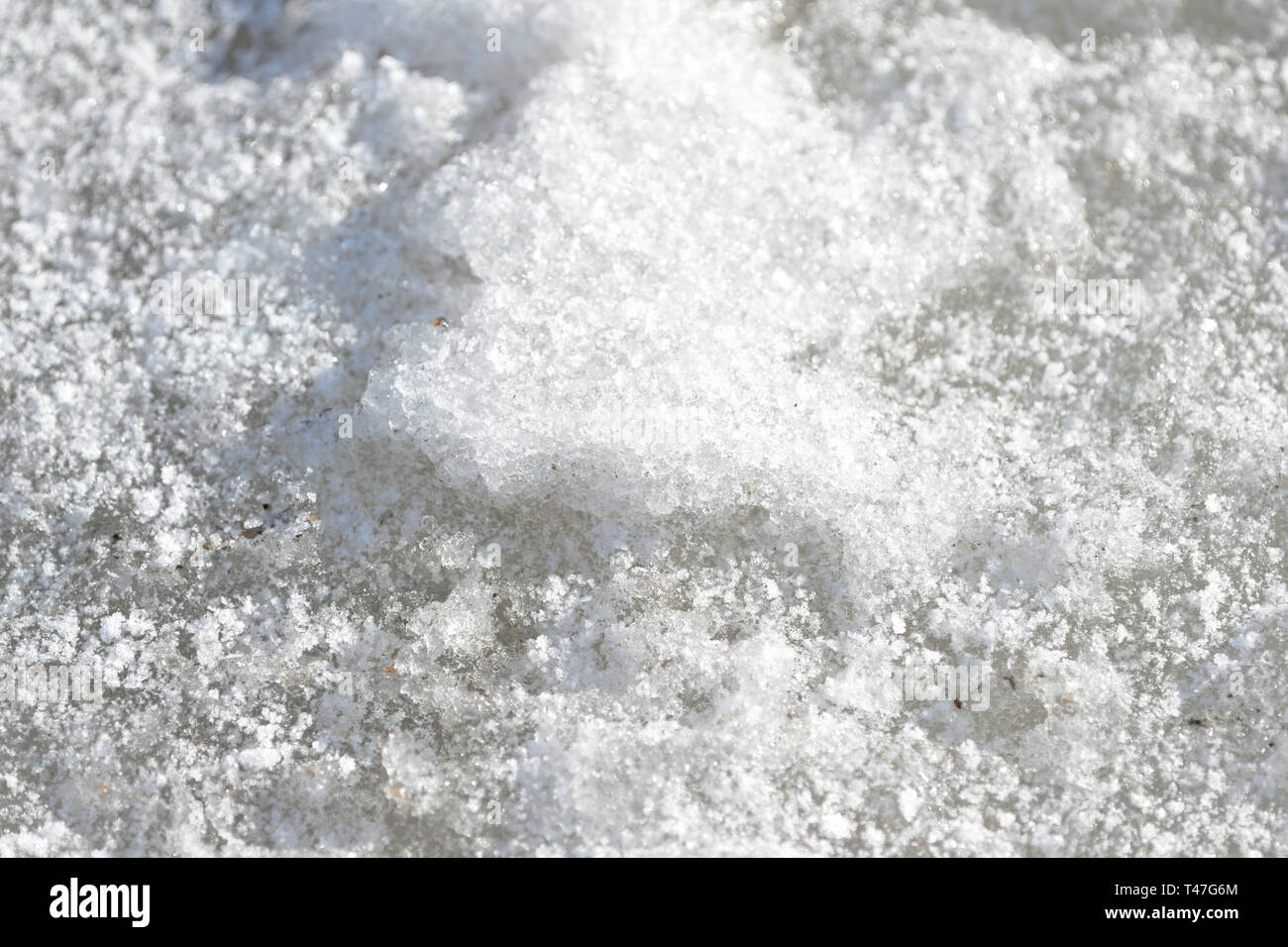 Early spring snow background and texture close up Stock Photo - Alamy