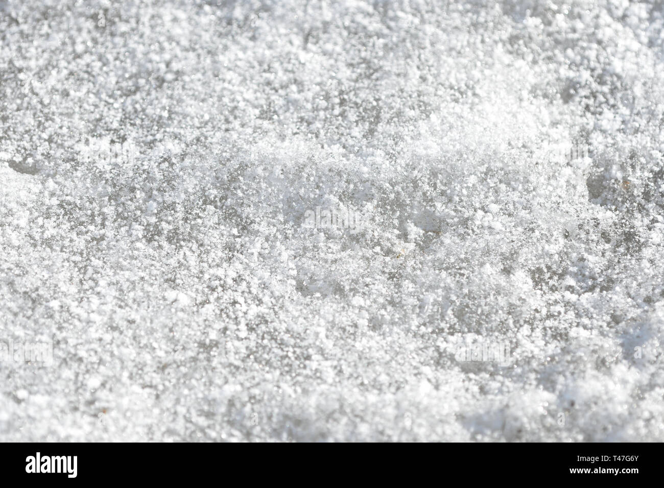 Early spring snow background and texture close up Stock Photo - Alamy