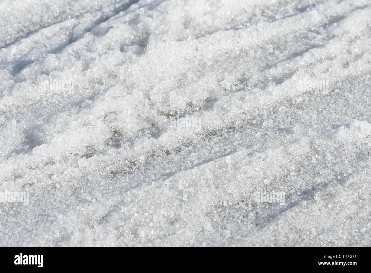 Early spring snow background and texture close up Stock Photo - Alamy