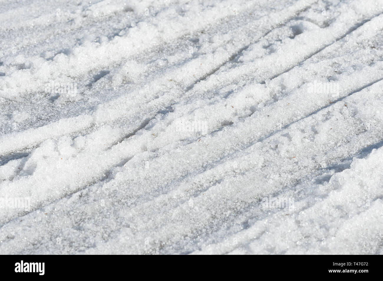 Early spring snow background and texture close up Stock Photo - Alamy