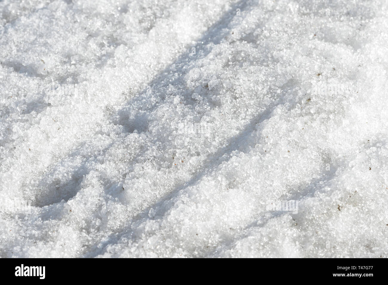 Early spring snow background and texture close up Stock Photo - Alamy