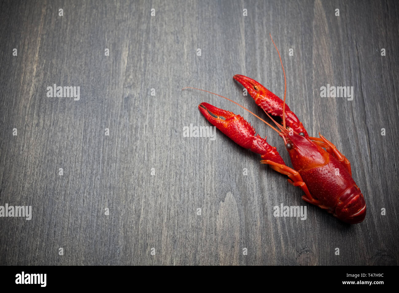 Cooked red lobster hi-res stock photography and images - Alamy