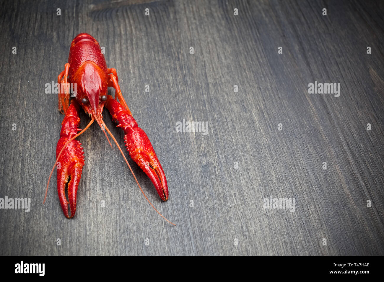 Red cooked lobster hi-res stock photography and images - Alamy