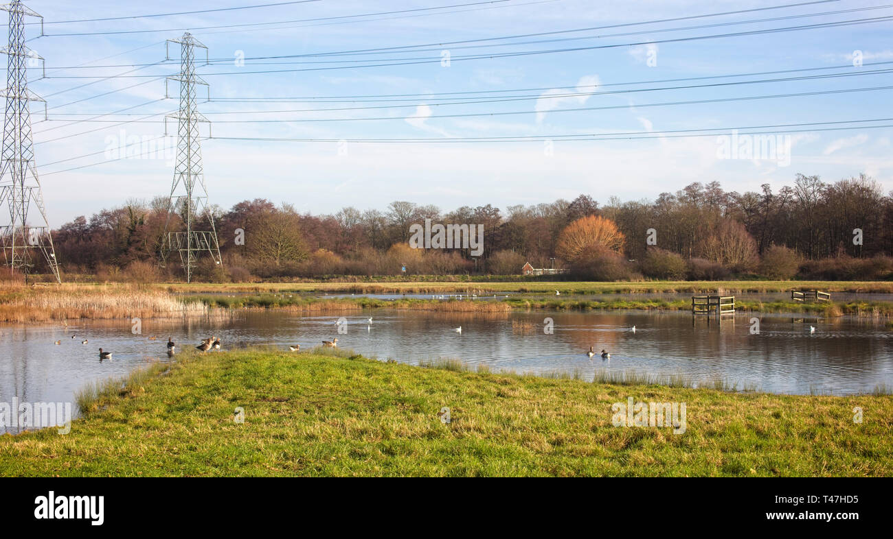 Lee Valley Park, near Cheshunt, Hertford, England, UK Stock Photo - Alamy