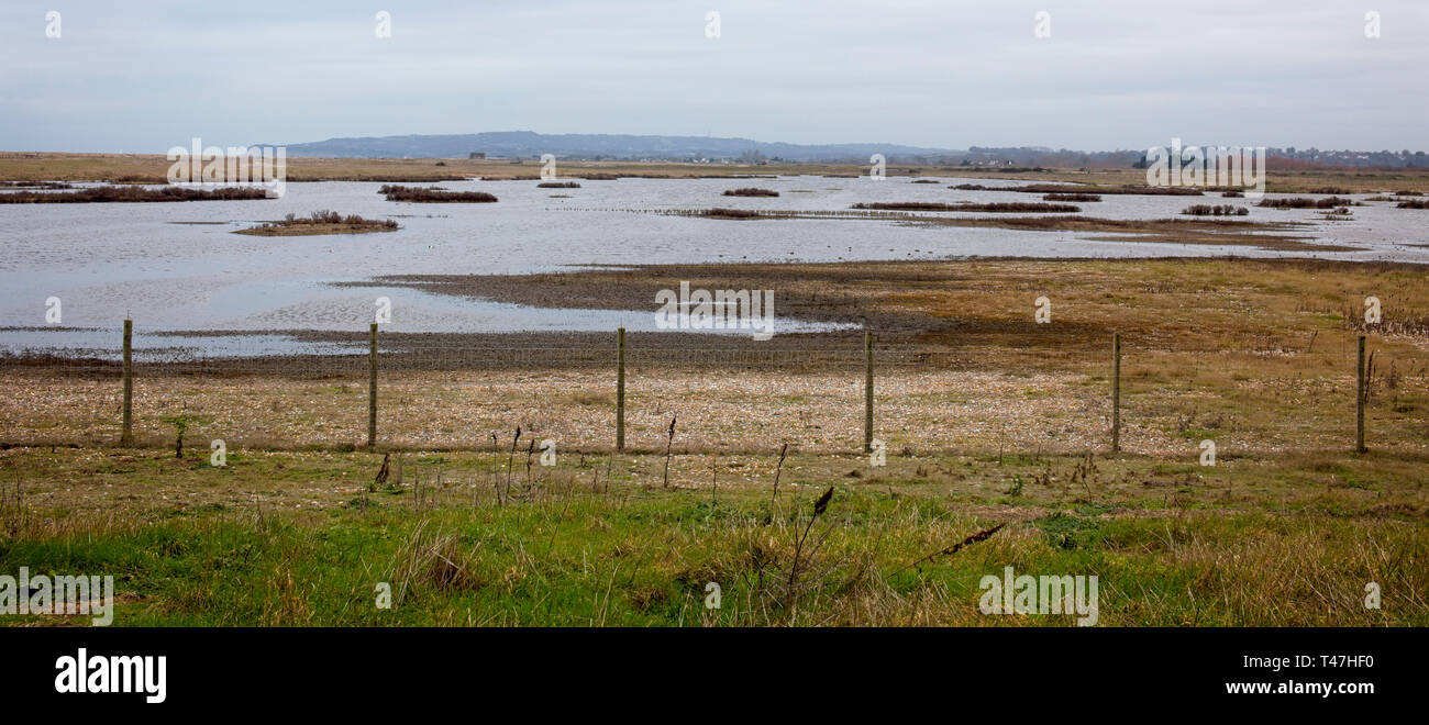 Rye preserve hi-res stock photography and images - Alamy