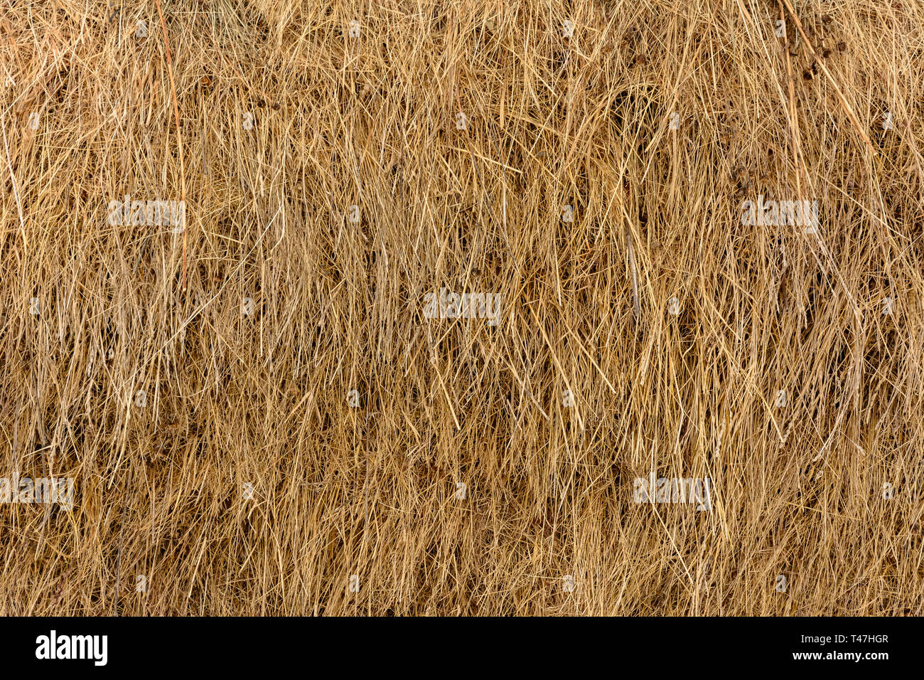 Dry yellow straw grass background texture closeup wallpaper. 2019 Stock ...