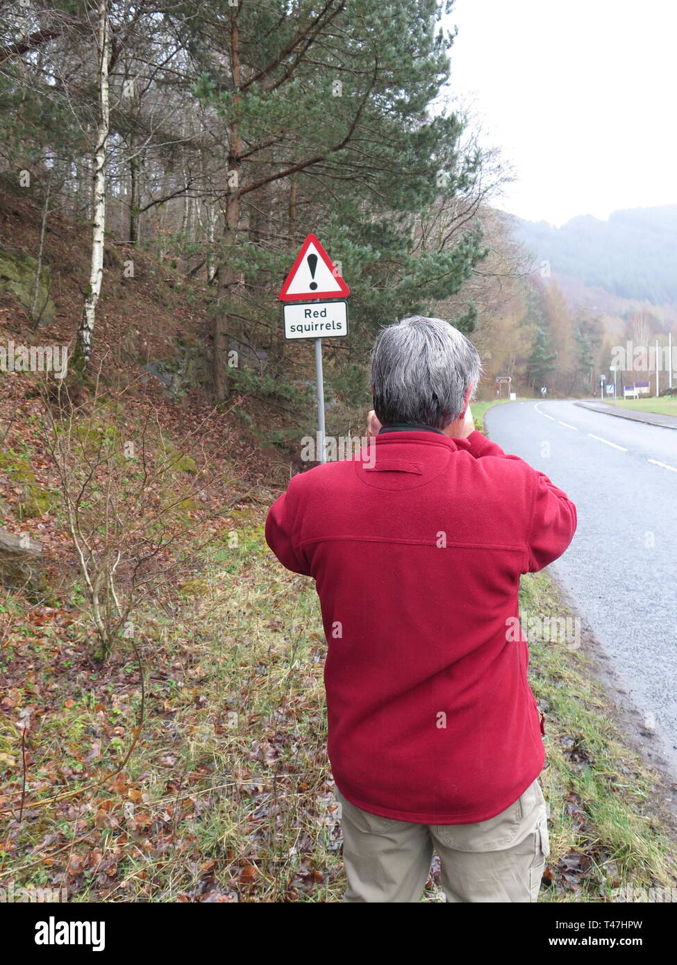 Scotland: red squirrel sign Stock Photo - Alamy