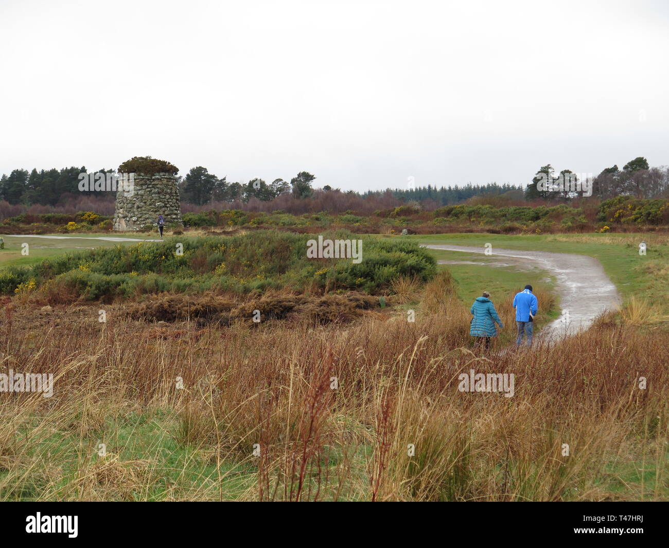 Scotland: Culloden memorial cairn Stock Photo - Alamy