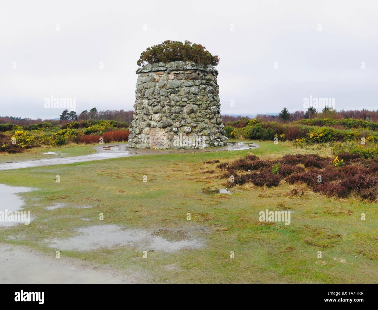 Scotland: Culloden memorial cairn Stock Photo - Alamy