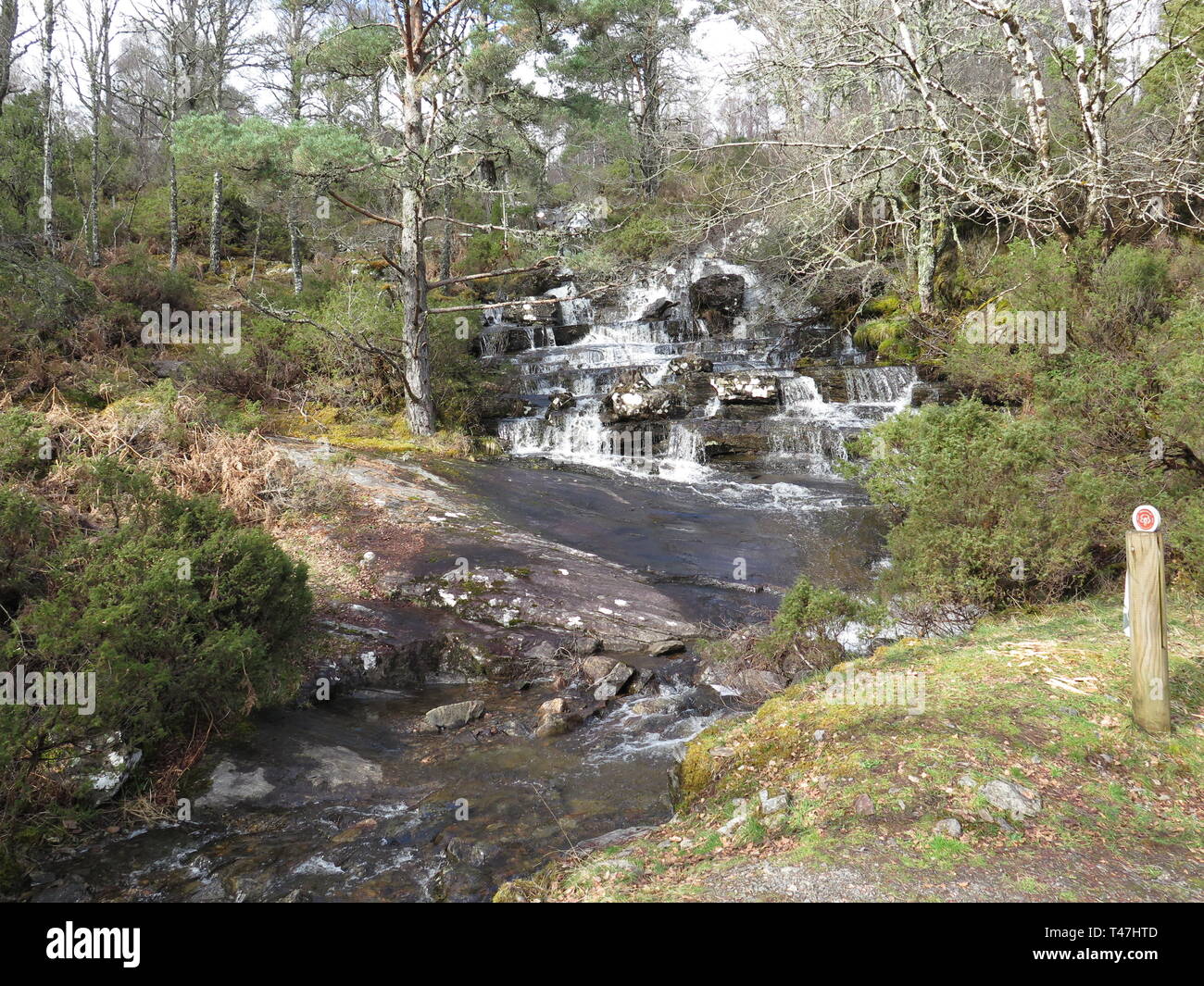 Scotland: Dundreggan Estate Stock Photo - Alamy