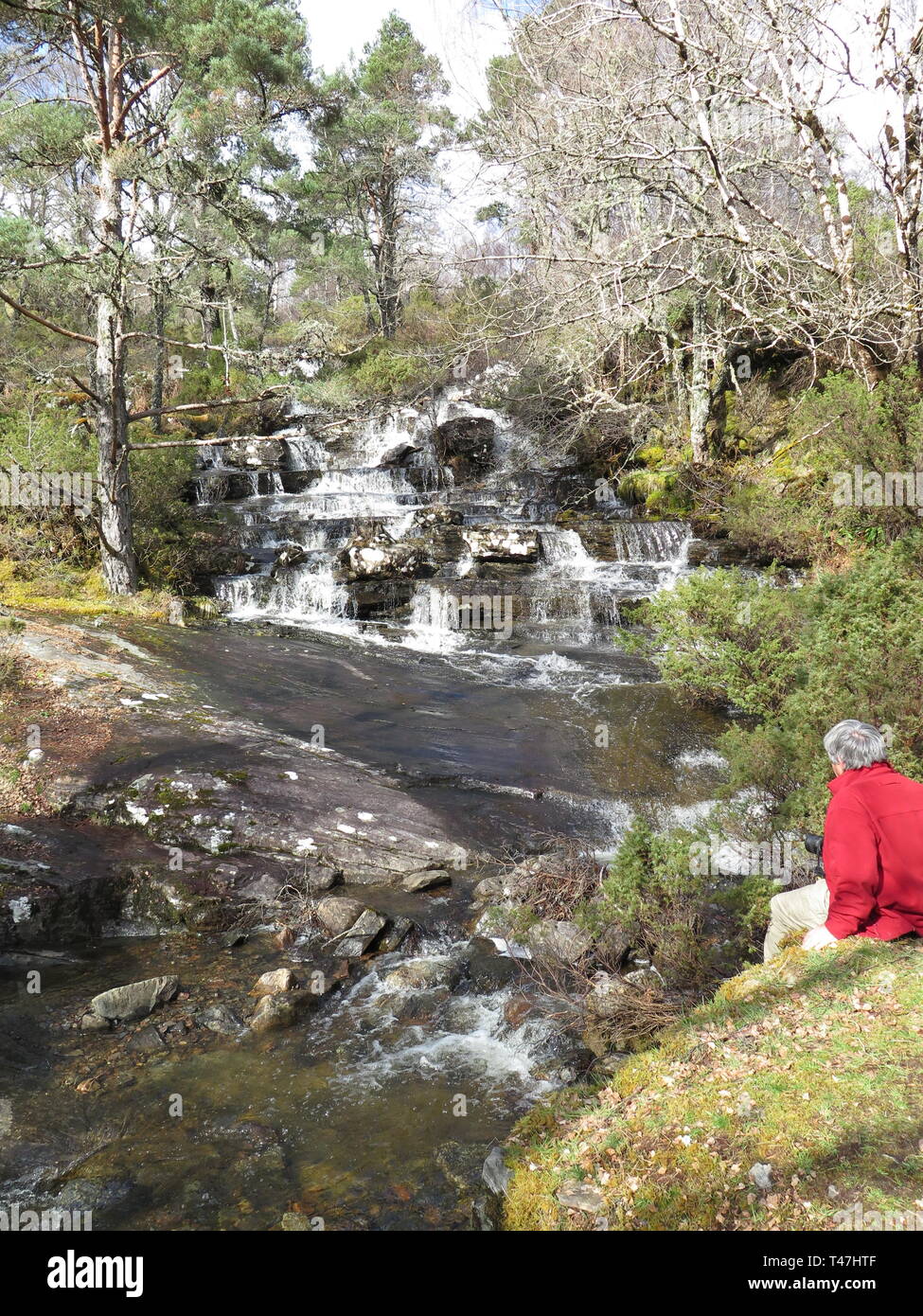 Scotland: Dundreggan Estate Stock Photo - Alamy