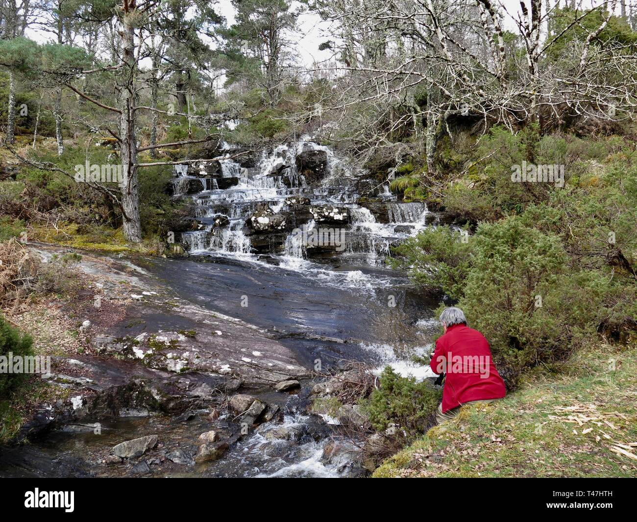 Scotland: Dundreggan Estate Stock Photo - Alamy