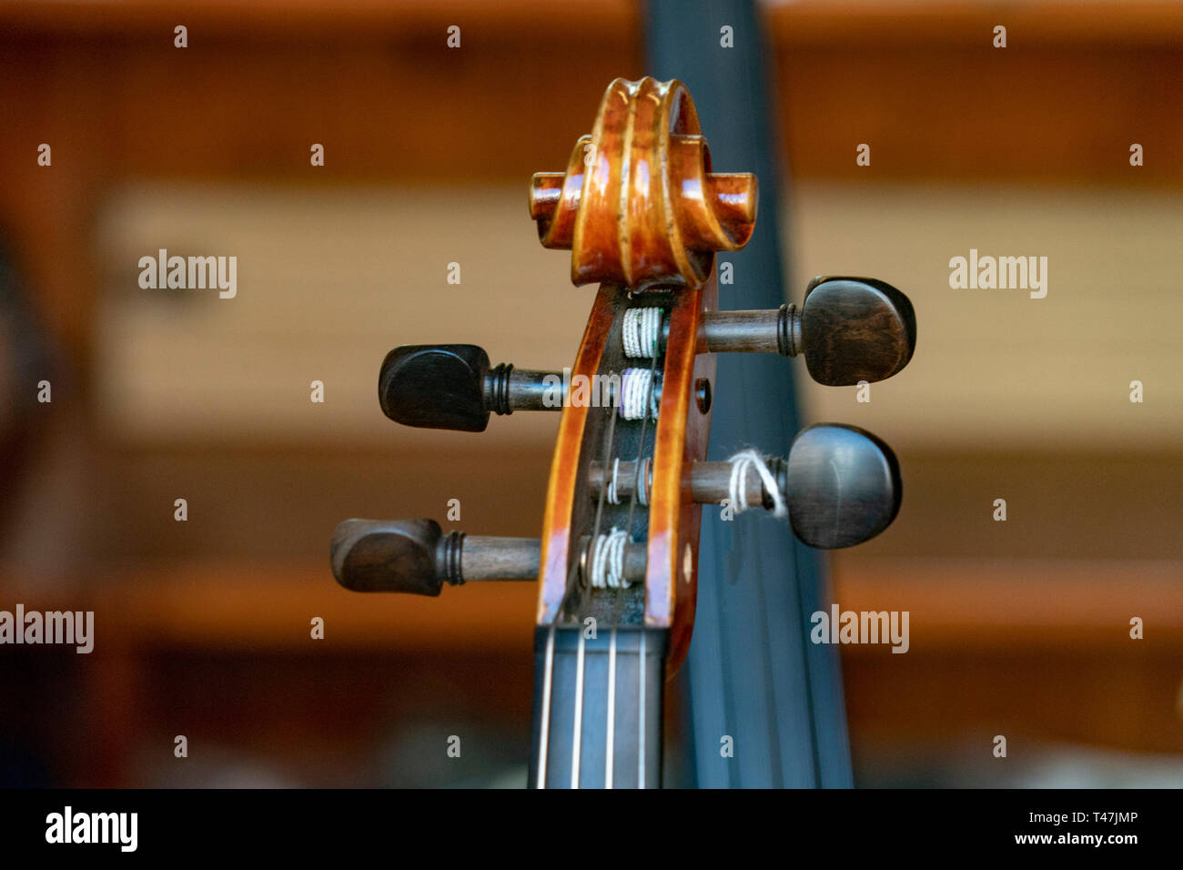 Violin detail close up musical instrument Stock Photo - Alamy