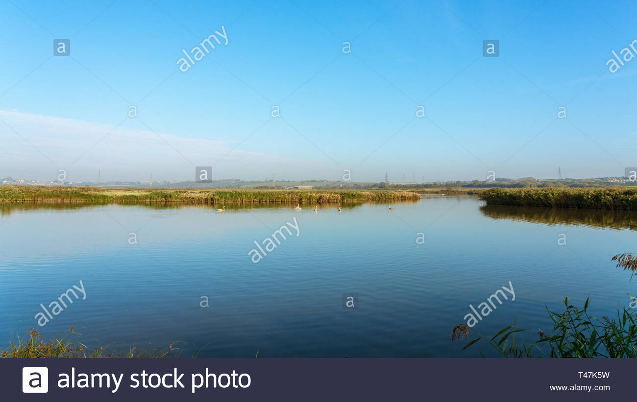 Pitsea High Resolution Stock Photography and Images - Alamy