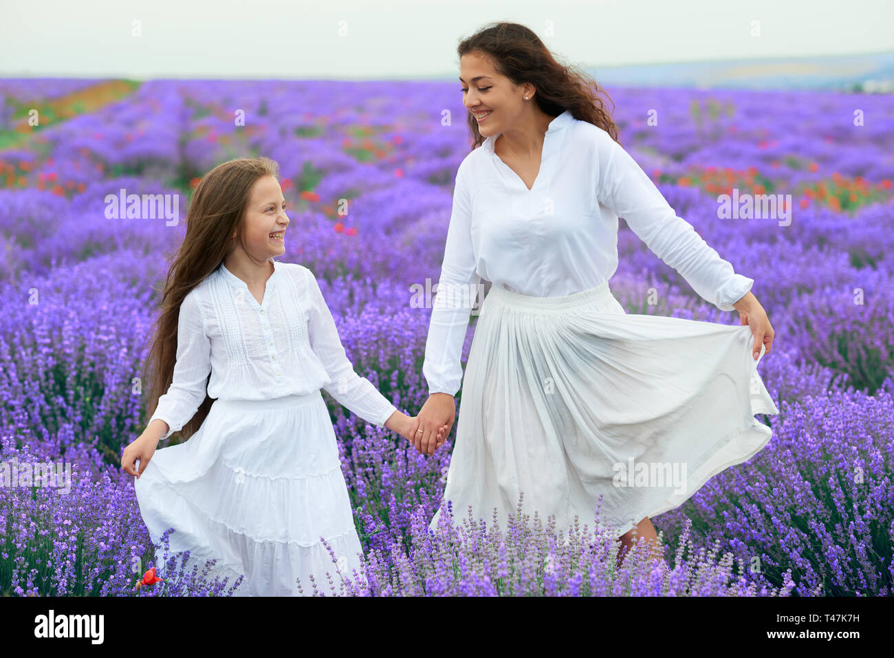girls are in the lavender flower field, beautiful summer landscape ...