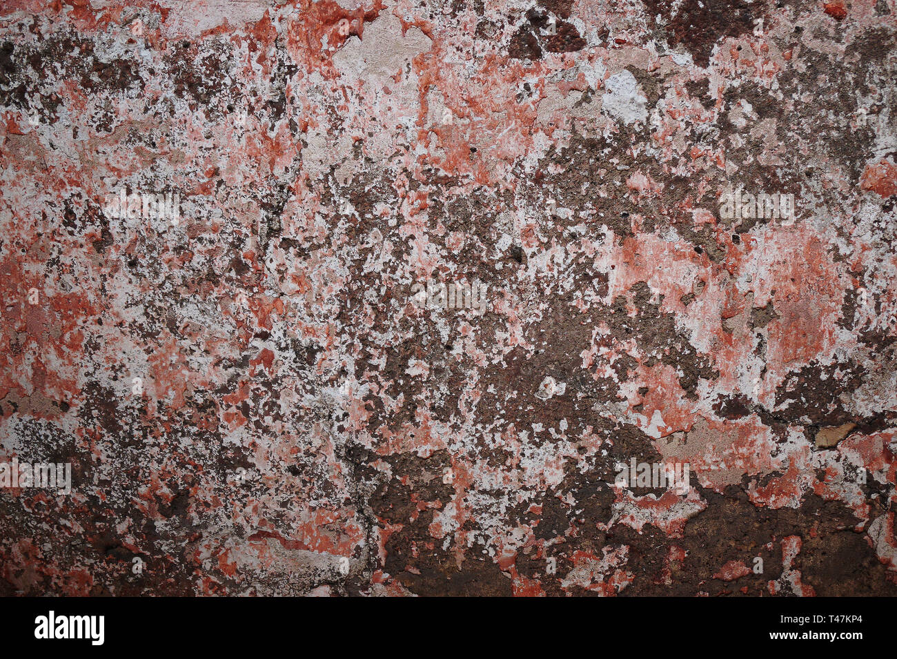 Texture of old cement rustic wall background Stock Photo - Alamy