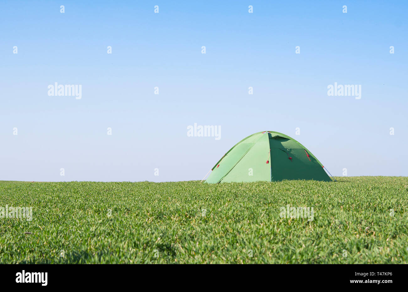 Tent yellow grass hi-res stock photography and images - Alamy