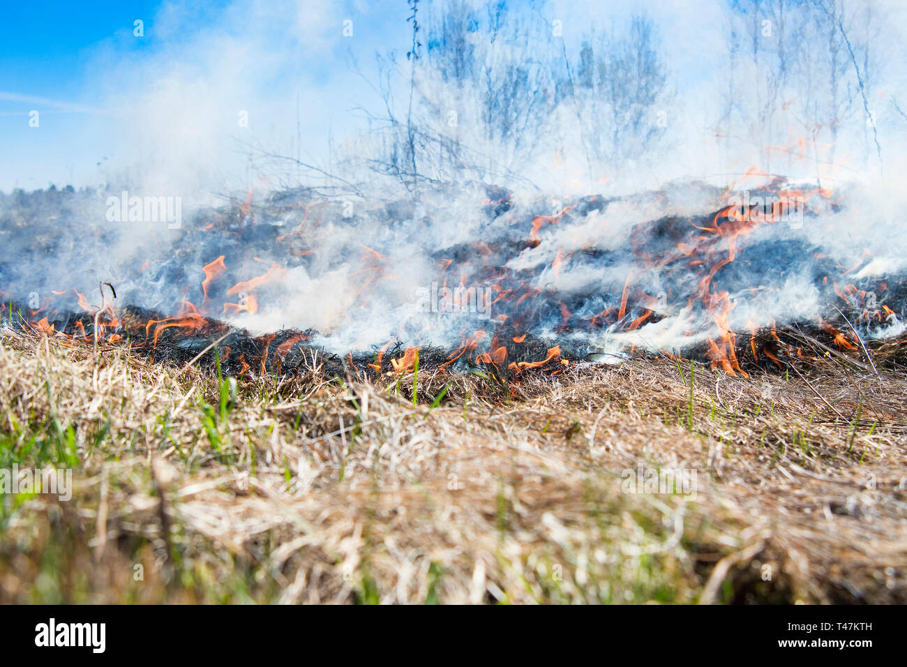 Spring burnt grass hi-res stock photography and images - Alamy