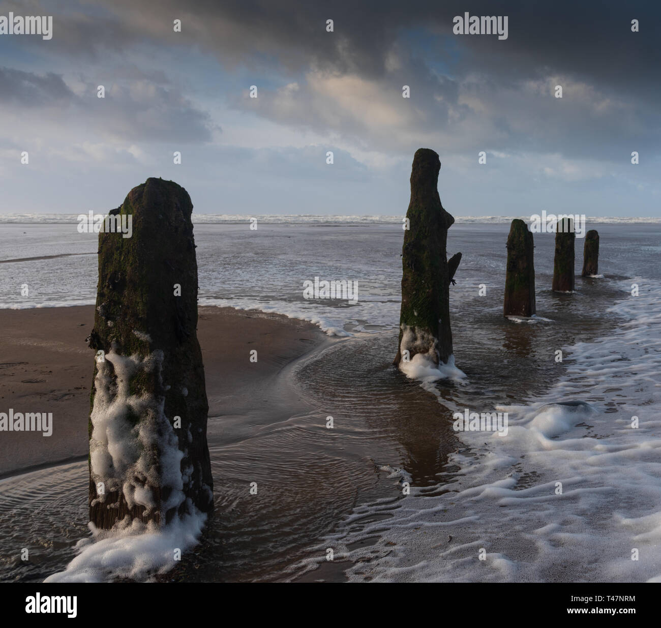 Five eroded timber groynes leading into a stormy winter sea, Westward ...