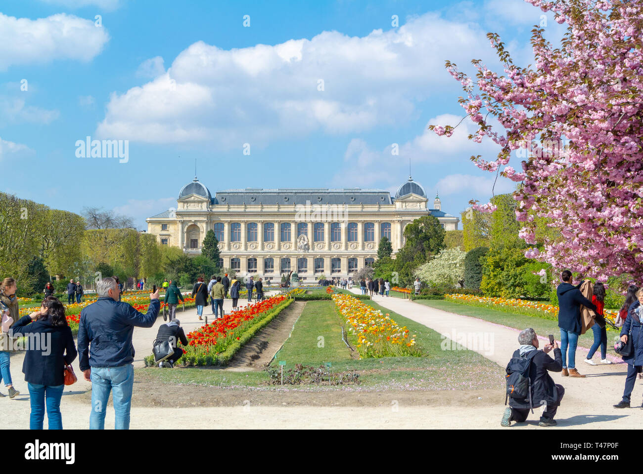 Great evolution gallery, tourists visiting Grande galerie de l ...