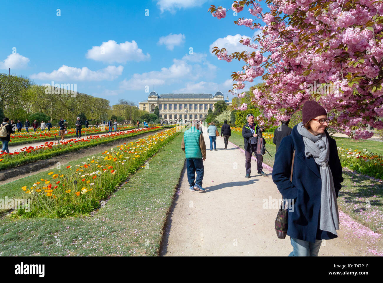 Great evolution gallery, tourists visiting Grande galerie de l ...