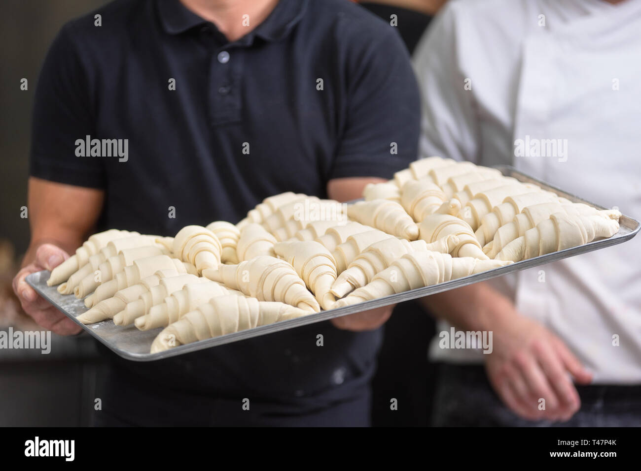 Close up of Pastry Chef showing a tray of fresh raw croissants dough ...