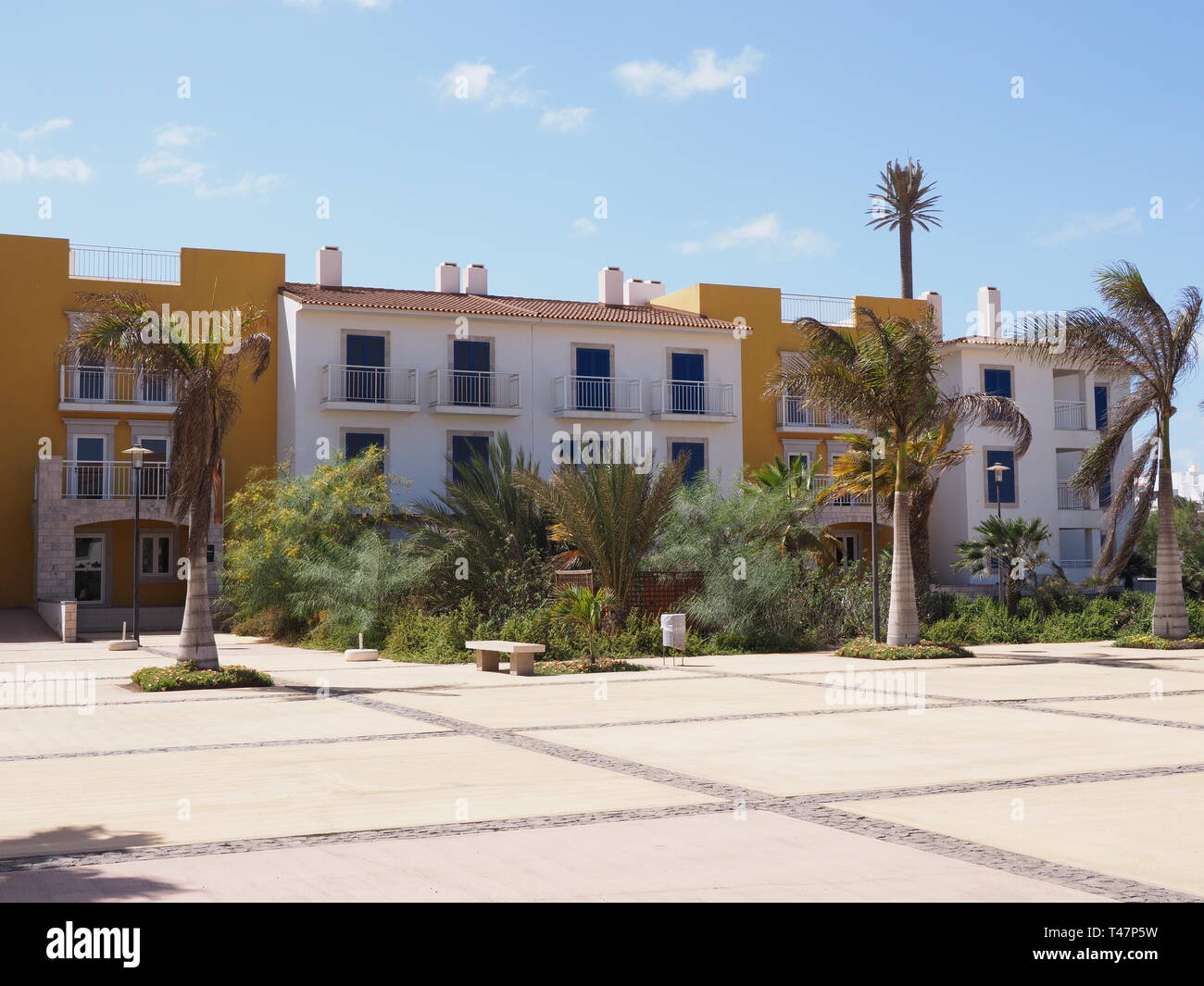 Colored buildings and palm trees at african Sal island in Cape Verde ...