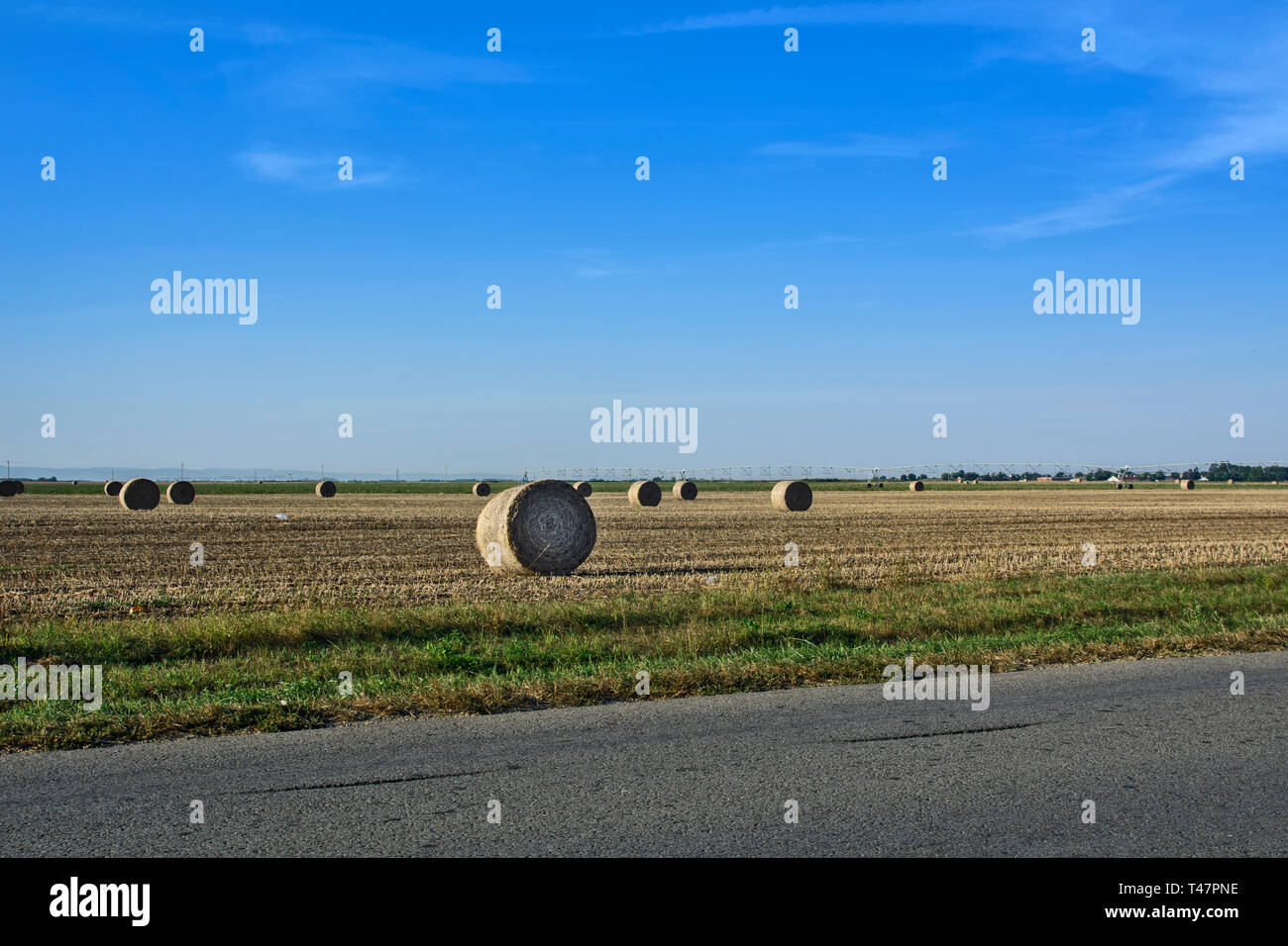 Soybean field after harvest with straw bales and watering system Stock ...