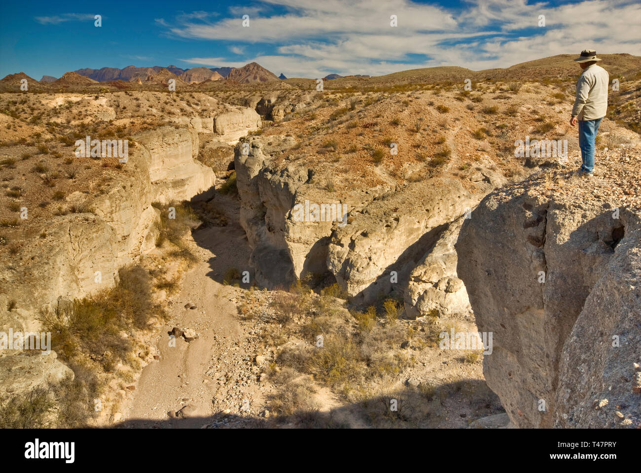 Hiker over Tuff Canyon, arroyo (dry creek bed), Chihuahuan Desert in ...