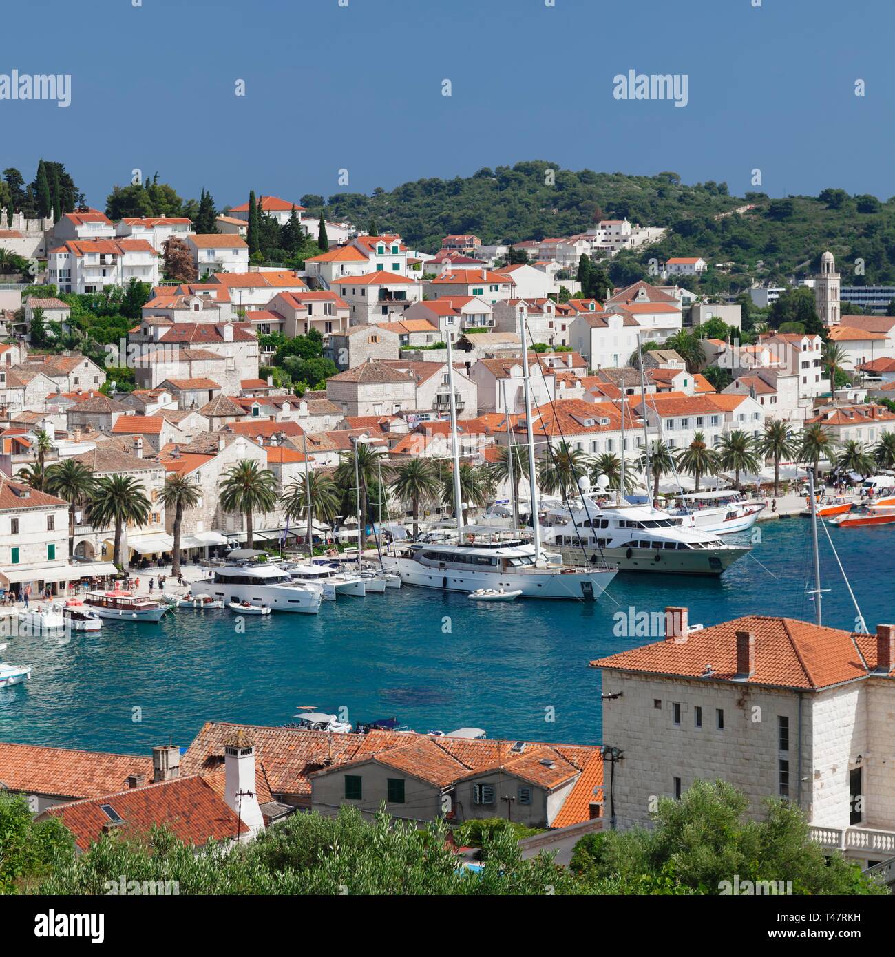View on the promenade at the harbour, Hvar, island Hvar, Dalmatia ...