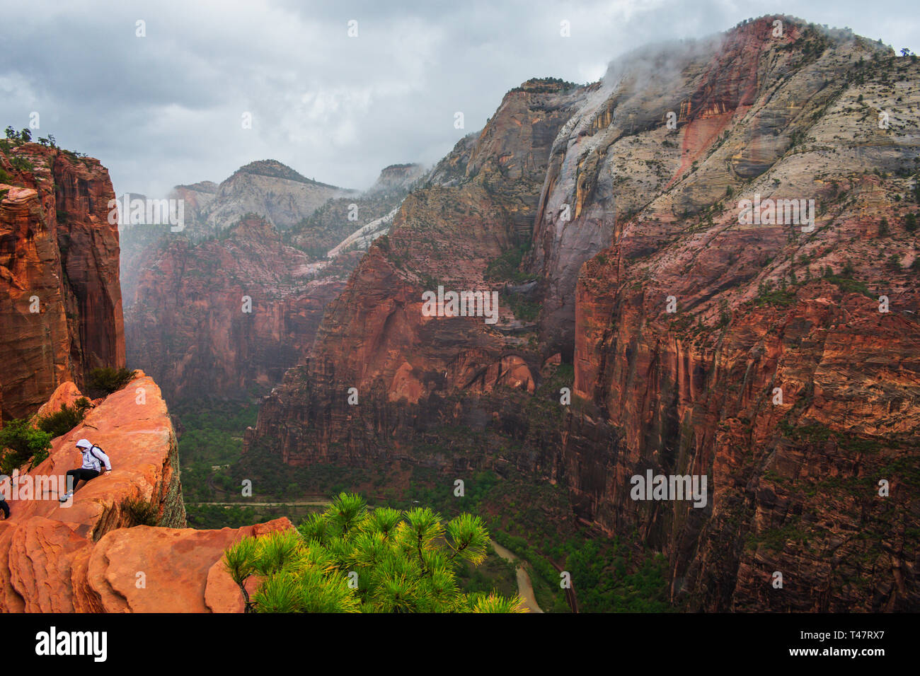 Unidentifiable Person Sitting on Ledge at Zion National Park Stock ...