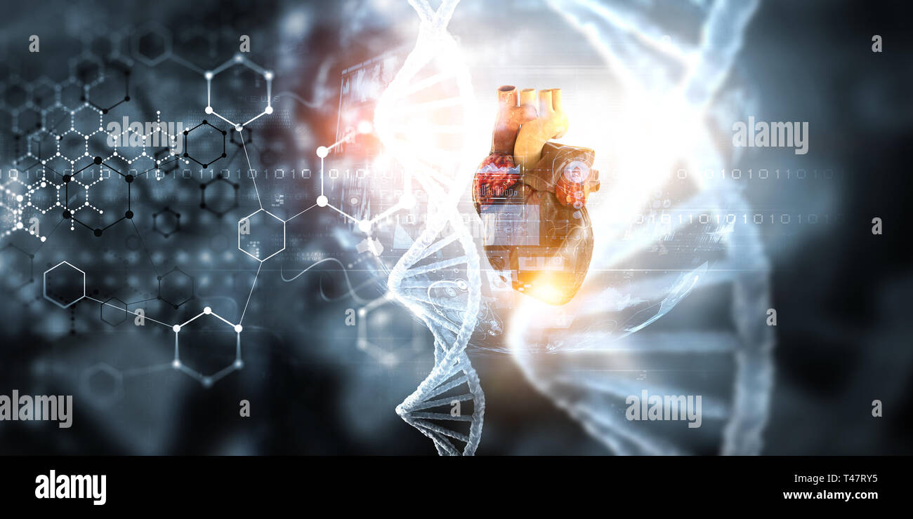 Medicine research of human heart Stock Photo - Alamy