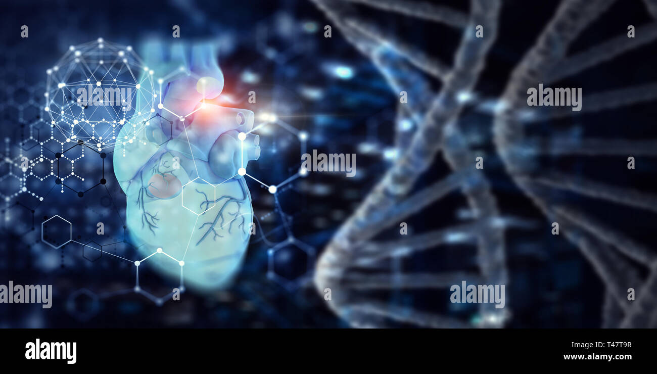 Medicine research of human heart Stock Photo - Alamy