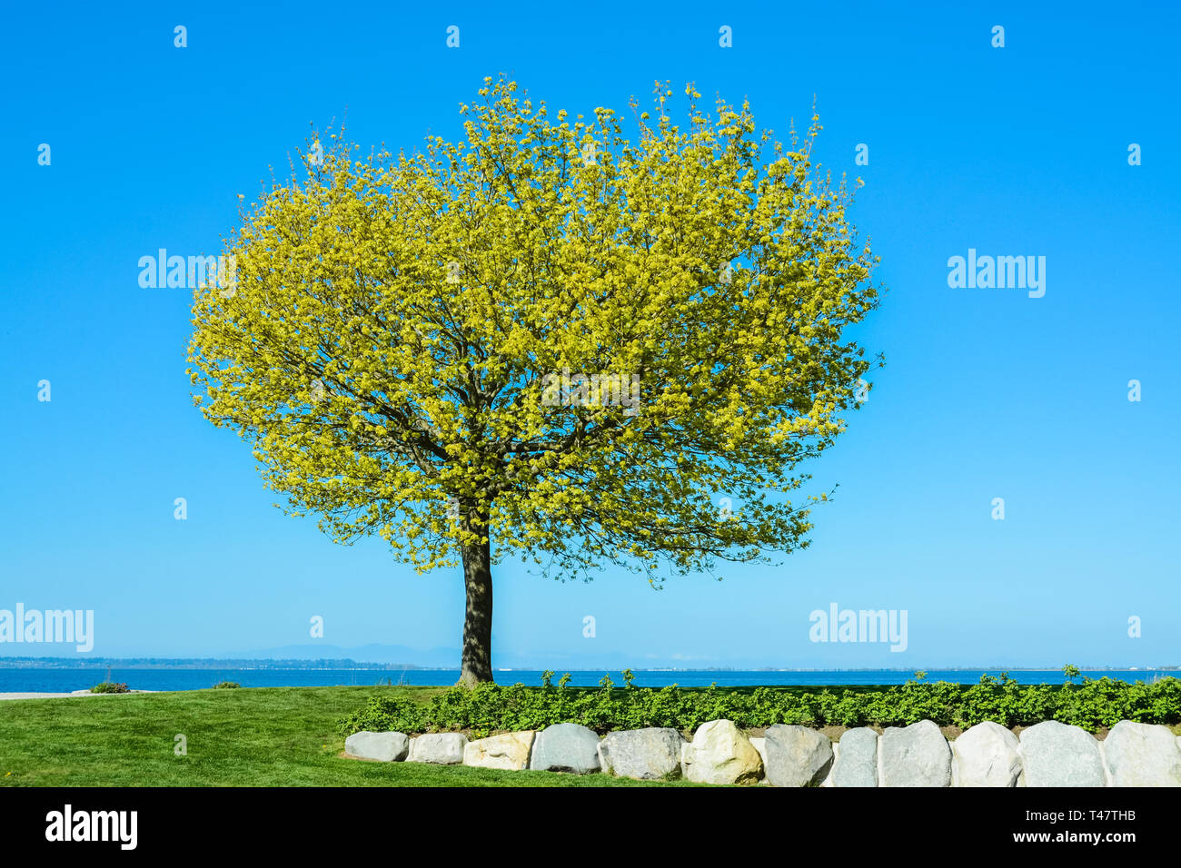 Canadian nature view on pacific hi-res stock photography and images - Alamy