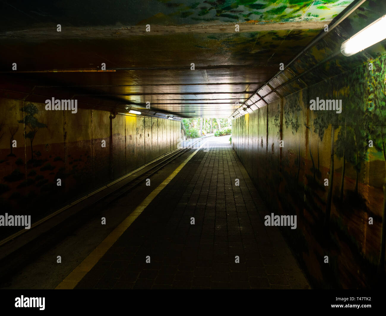 Pathway lights hi-res stock photography and images - Alamy