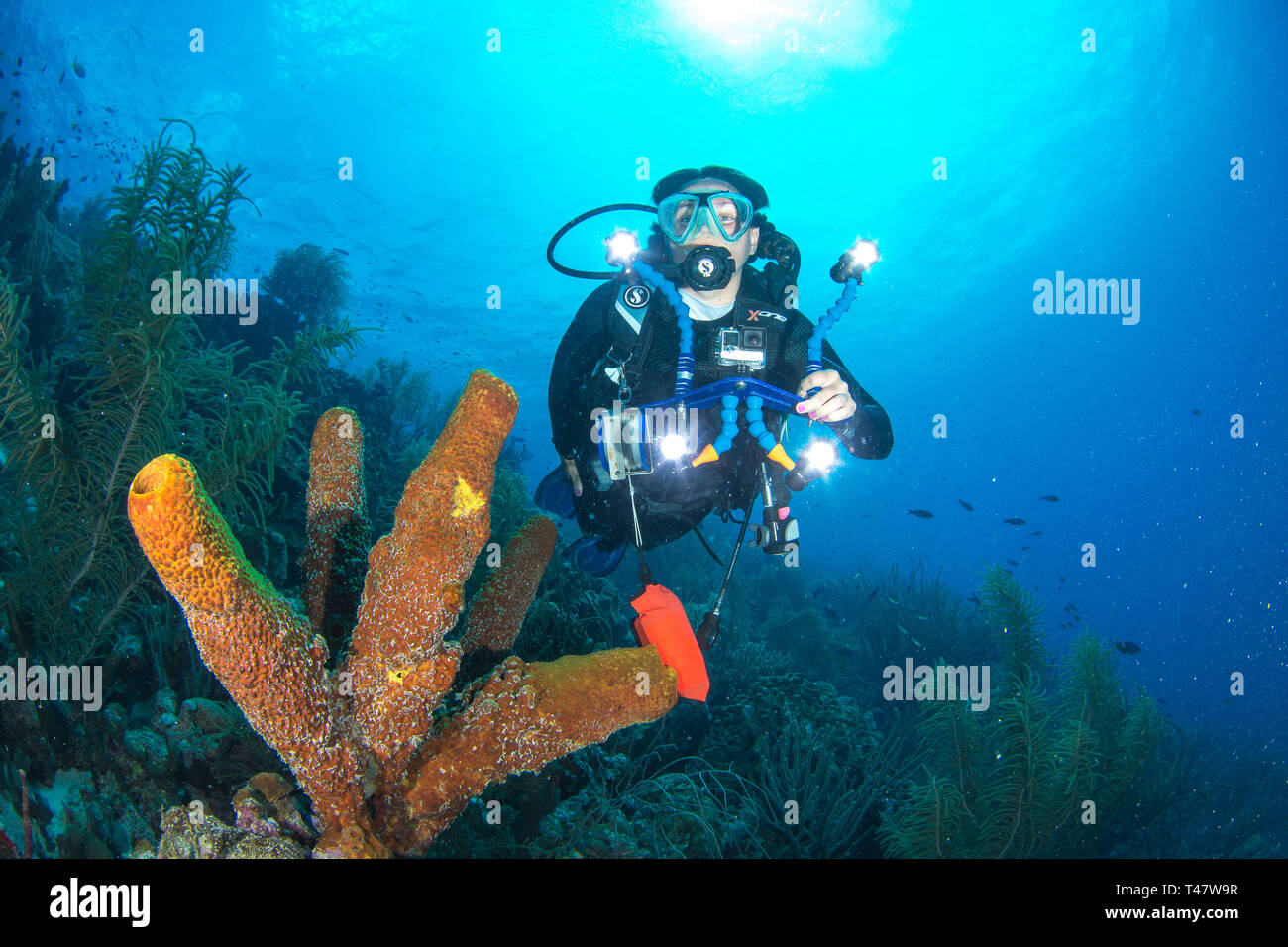 woman diver underwater los roques venezuela Stock Photo - Alamy
