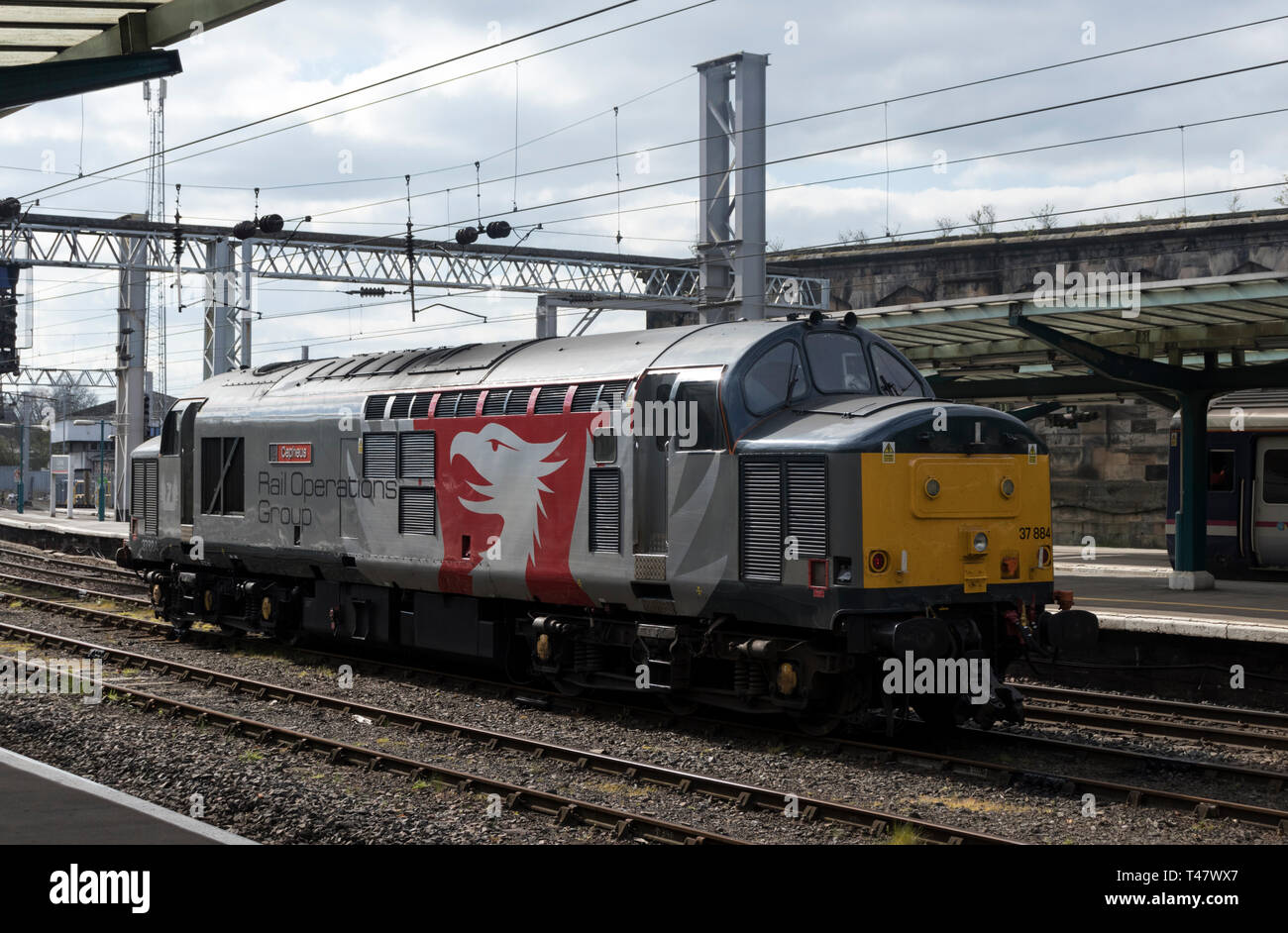 37884 cepheus hi-res stock photography and images - Alamy