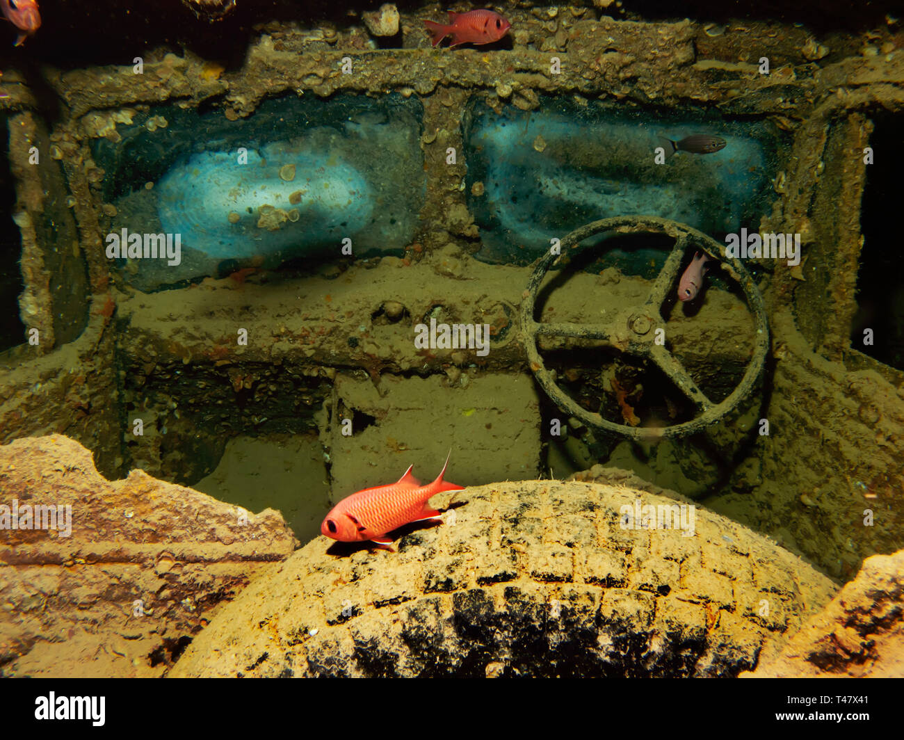 S.S. Thistlegorm Wreck, sunk on 5 October 1941 in the Red Sea and is ...