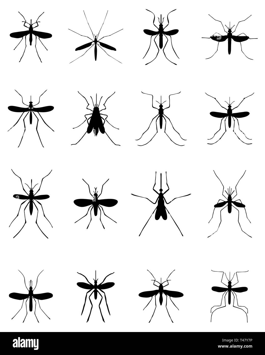 Black silhouettes of different mosquito on a white background Stock ...