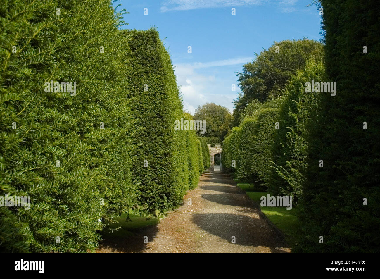 Lady hoghton hi-res stock photography and images - Alamy