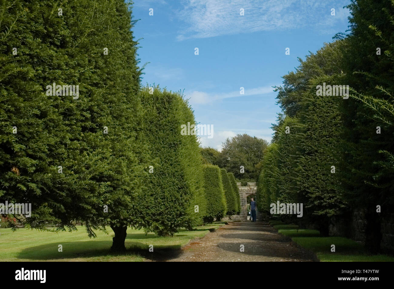 Hoghton Tower, Lancashire Stock Photo - Alamy