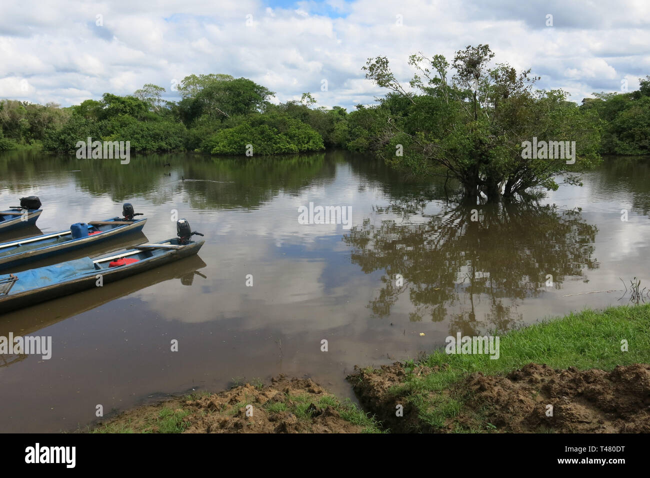 Yacuma river. Bolivian jungle. Amazon region. Beni Region, Bolivia. The ...