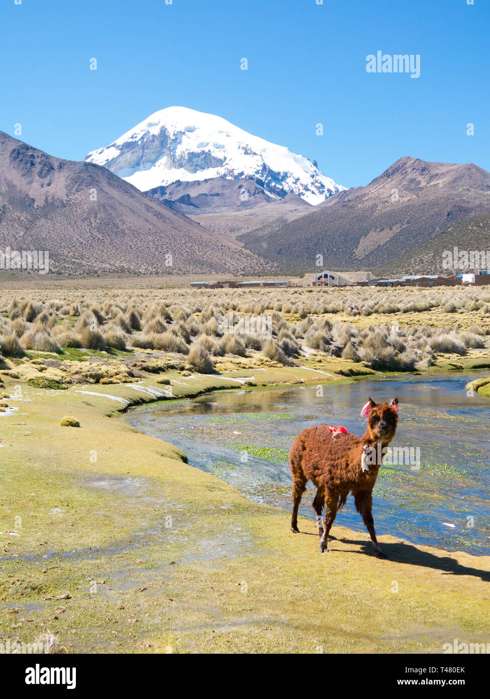 Mount sajama hi-res stock photography and images - Alamy