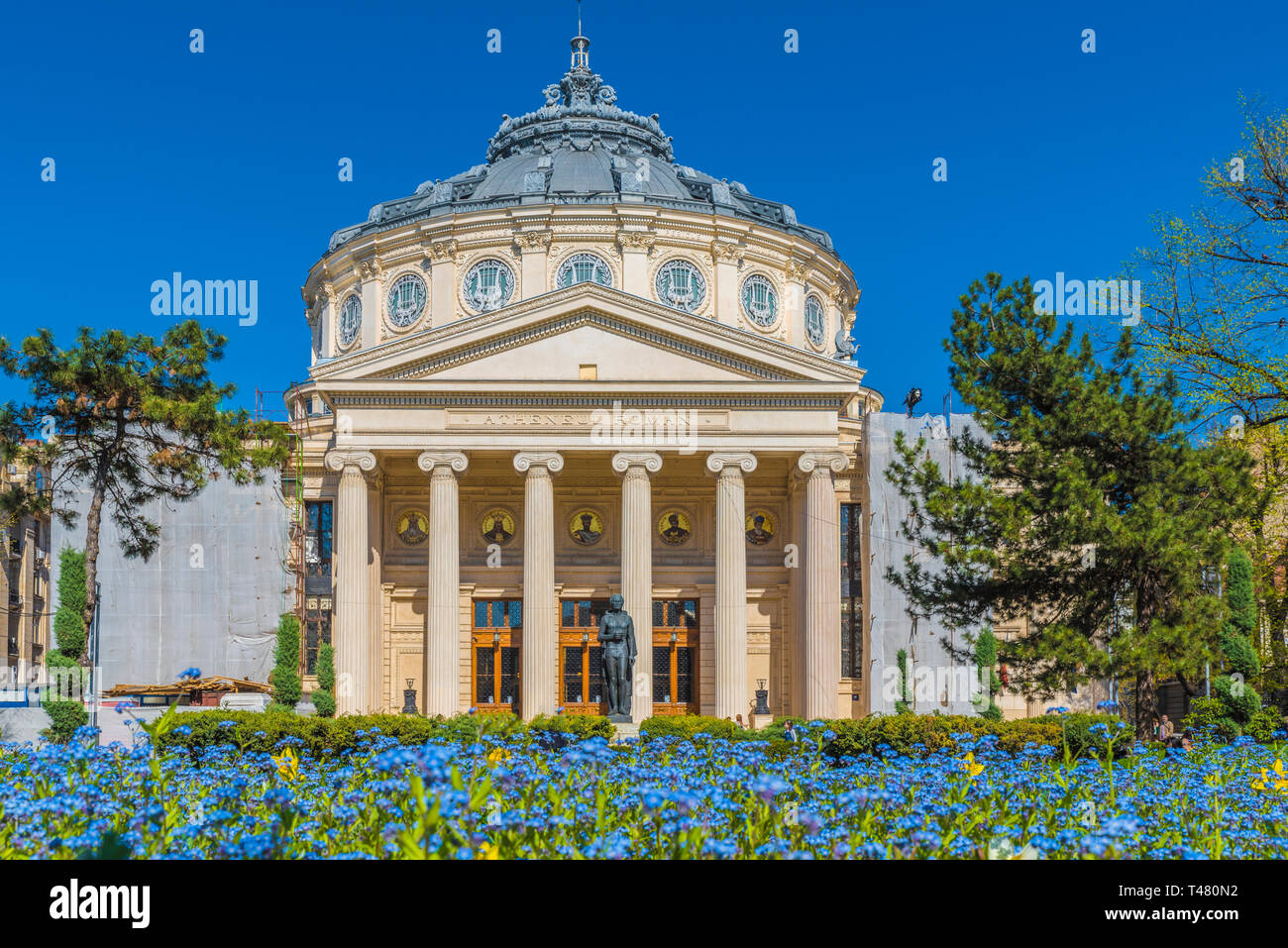 Romanian Atheneum, Bucharest landmark, Romania Stock Photo - Alamy