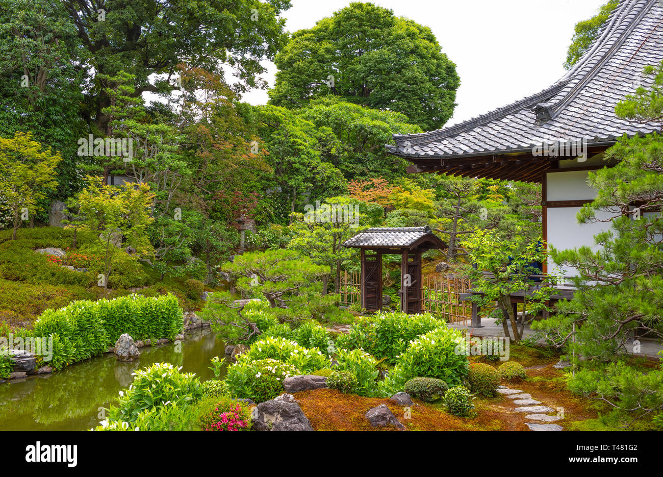 Japan, Kyoto, the colorful and rich vegetation of the garden of the ...