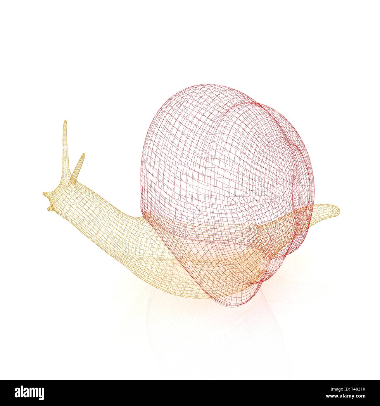 3d fantasy animal, snail on white background Stock Photo - Alamy