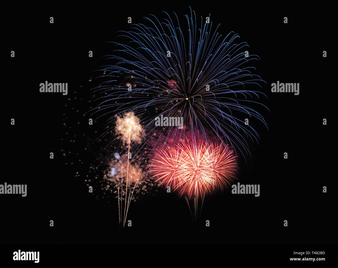 Abstract festive colorful fireworks explosion, isolated on black ...