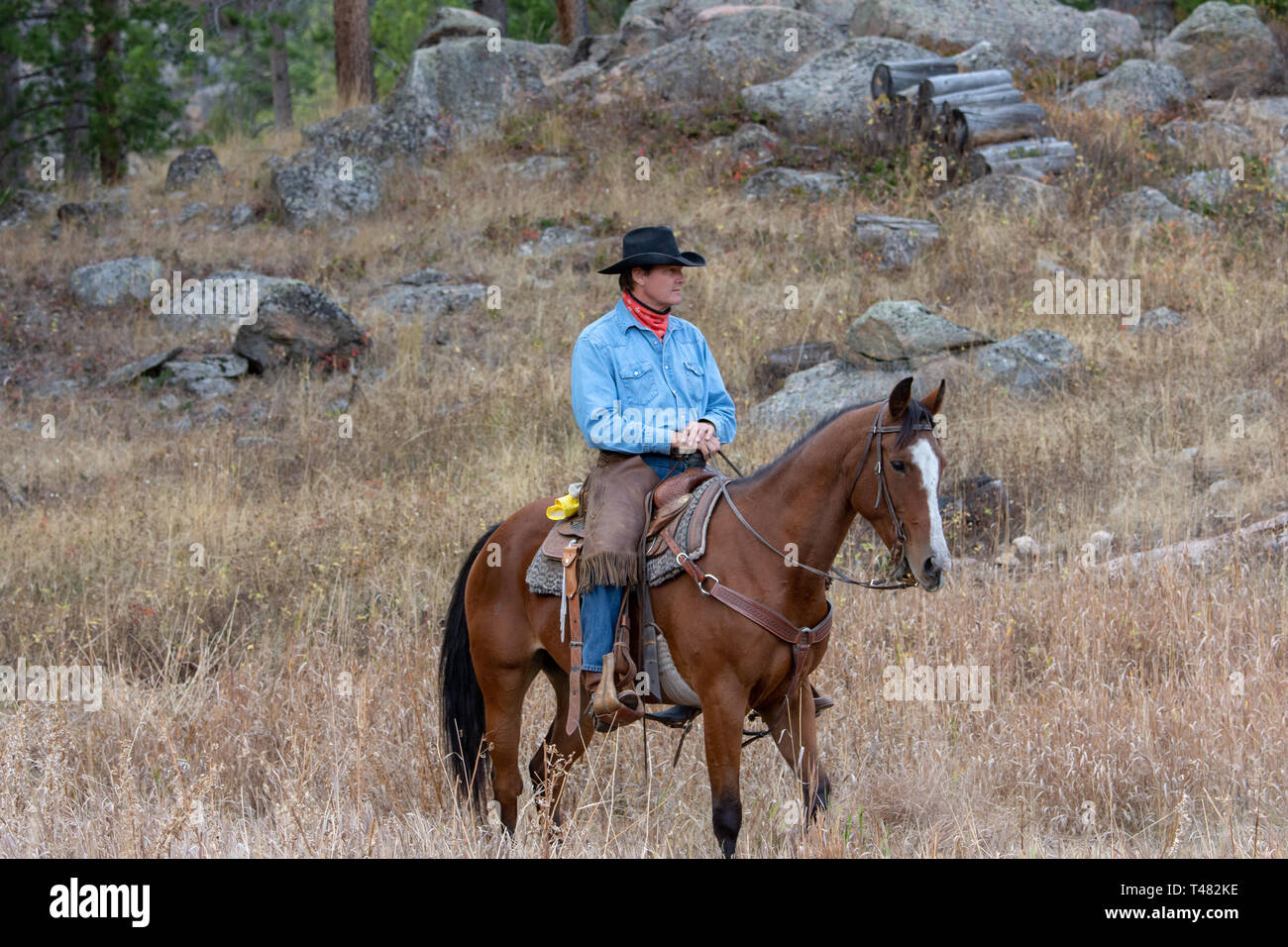 Hard working cowboy hi-res stock photography and images - Alamy