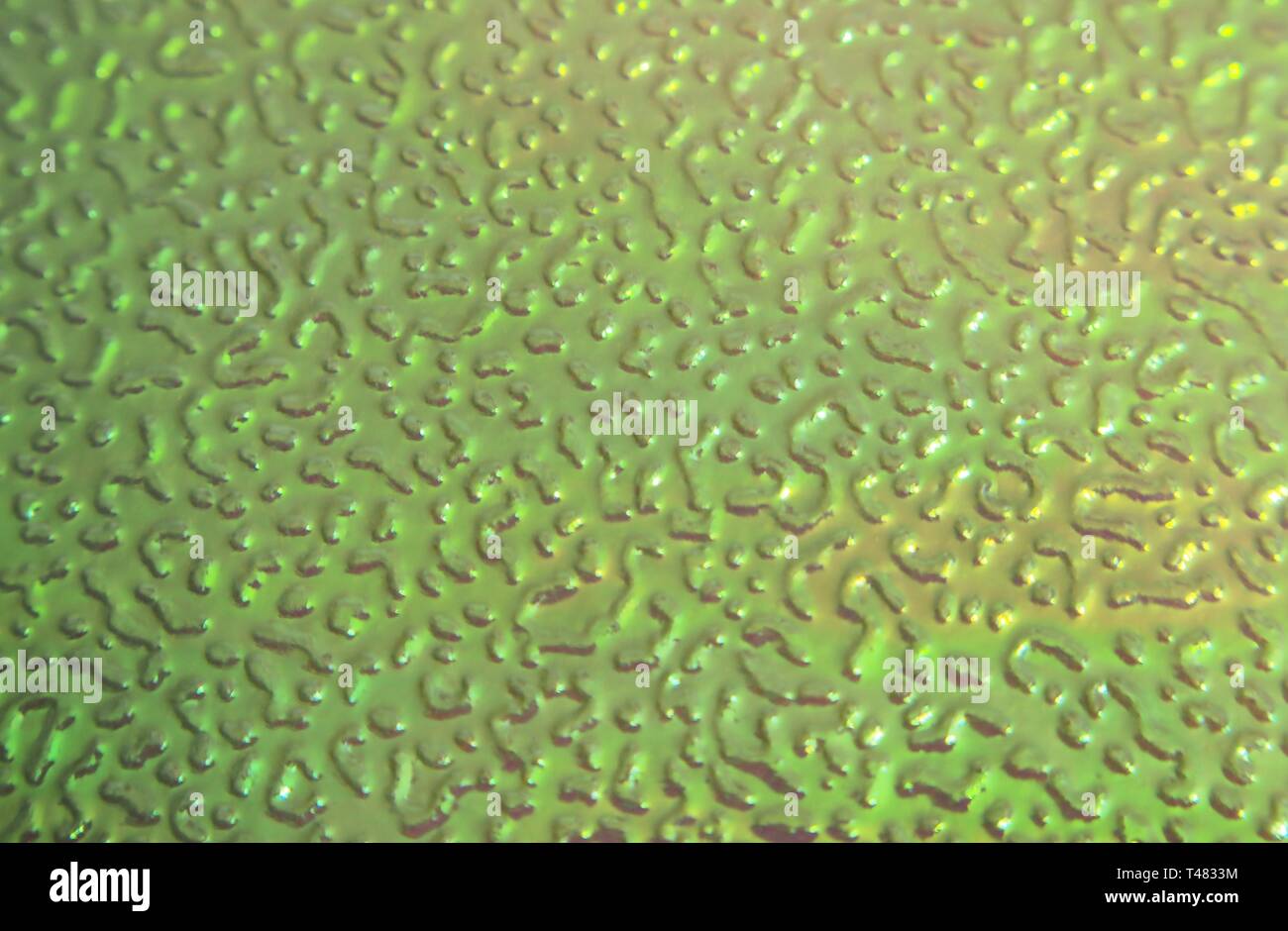 Metallic multi-colored shiny texture. Close up. Background image Stock ...