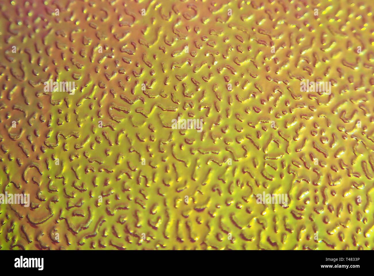 Splattered paint texture metal hi-res stock photography and images - Alamy